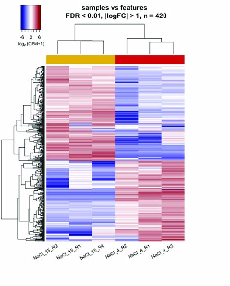 clustering of the up and down regulated transcripts from 15 nacl vs 4