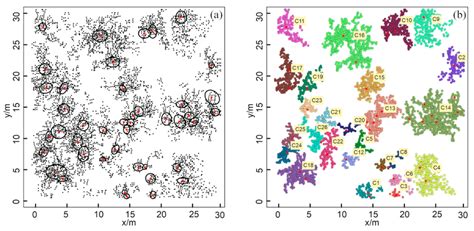 The Field Survey And Clustering Results From Site A A 2 D Top View Download Scientific