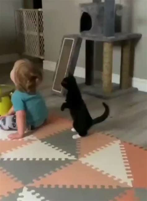 Muhammad Yaqoob Posted On Linkedin