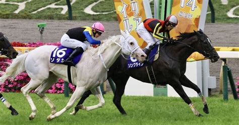 3連単342倍的中 居城ゆうまの3連単24点ai競馬予想 1218水船橋9r｜居城ゆうまのai競馬予想