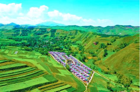 “两山”转化的“平安路径”——第六批“绿水青山就是金山银山”实践创新基地、海东市平安区工作掠影（青海日报）发展生态产业