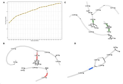 Graph Based Pan Genome Constructed With 23 B Rapa Genomes Currently Download Scientific