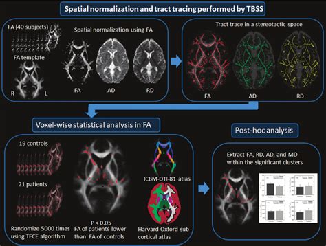 A Flow Diagram Of Voxelwise Analysis Performed By Tbss After Spatial