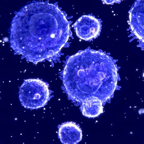 Department Of Cell Biology Nyu Langone Health