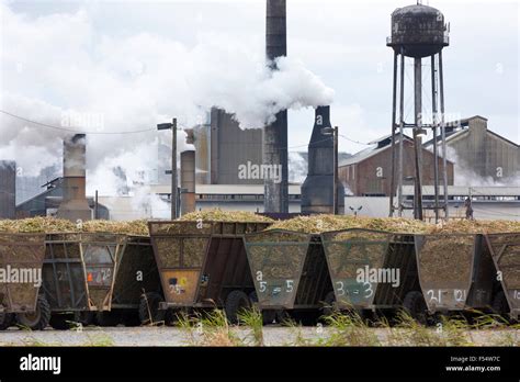 Sugarcane Production Factory St Mary Sugar Cooperative Sugar Mill Stock
