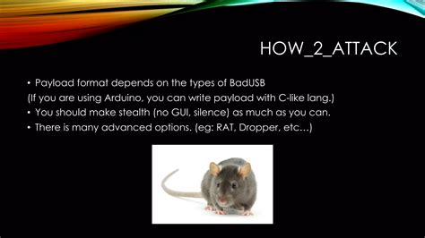 Abyss Of Badusb Pdf Operating Systems Computer Software And Applications