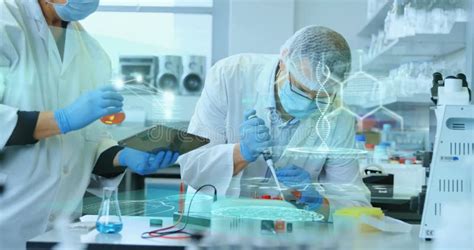 In Laboratory Scientists In Lab Coats Analyzing Digital Dna Animation