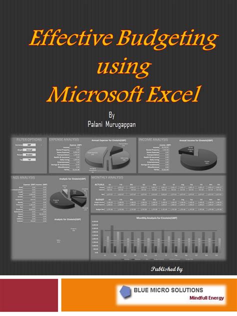 Effective Budgeting Using Microsoft Excel EBook By Palani Murugappan EPUB Rakuten Kobo