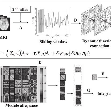 overview of analysis strategy a extract time series from fmri download scientific diagram