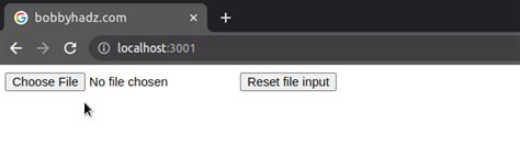 How To Reset A File Input In React Bobbyhadz