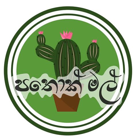 පින්බර නිකිණි පුන් පොහෝ දිනක් වේවා 🤍💫 පතොක් මල් Facebook