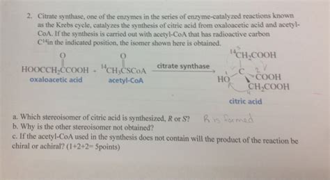 Solved Citrate Synthase One Of The Enzymes In The Series Of