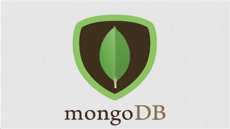 mongodb fundamentals functions and orm detailed guide express setup