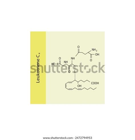 Leukotriene C4 Skeletal Structure Diagramleukotriene Compound Stock Vector Royalty Free