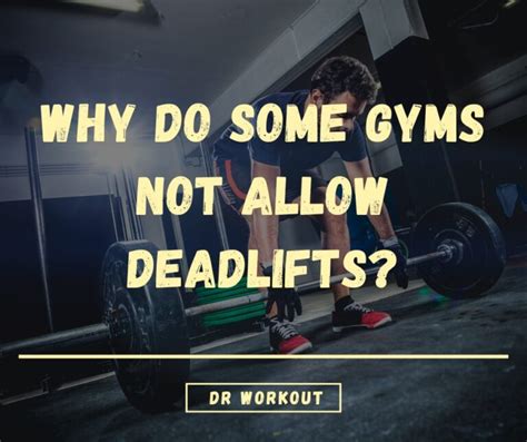 Guide To Macrocycle Mesocycle And Microcycle Detailed Examples For Effective Training