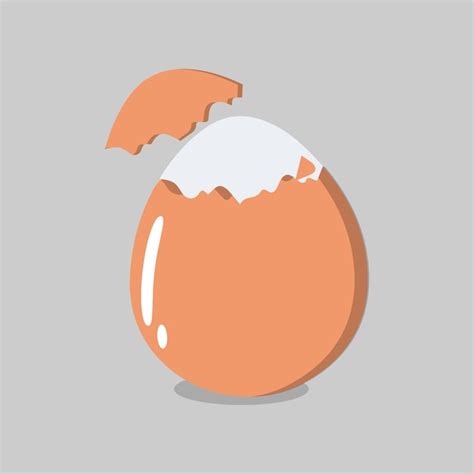 Premium Vector Egg Vector Illustration Collection Of Whole Broken