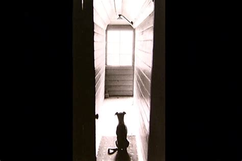 거울 앞의 소녀 Girl In A Mirror 상세정보 씨네21