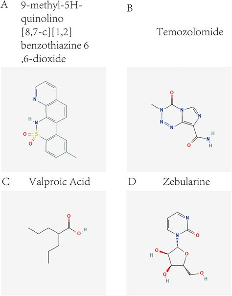 Single Cell Sequencing Combined With Transcriptome Sequencing To Explo Jir