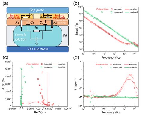 A The Impedance Test Equivalent Circuit Diagram Of The Sensing Download Scientific Diagram