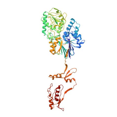 Rcsb Pdb 8rc4 Structure Of Integrator Pp2a Complex