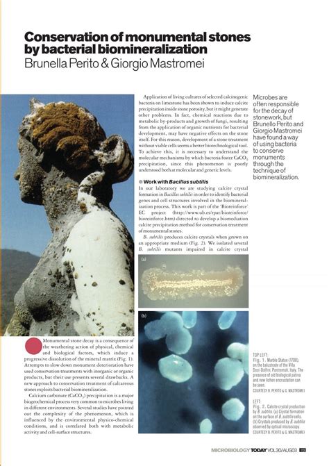 Conservation Of Monumental Stones By Bacterial Biomineralization