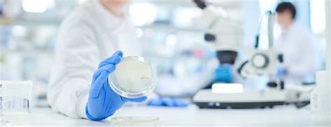 Stool C Difficile Toxin