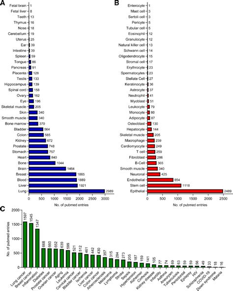 Long Non Coding RNAs Novel Regulators Of Cellular Physiology And Function Abstract Europe PMC