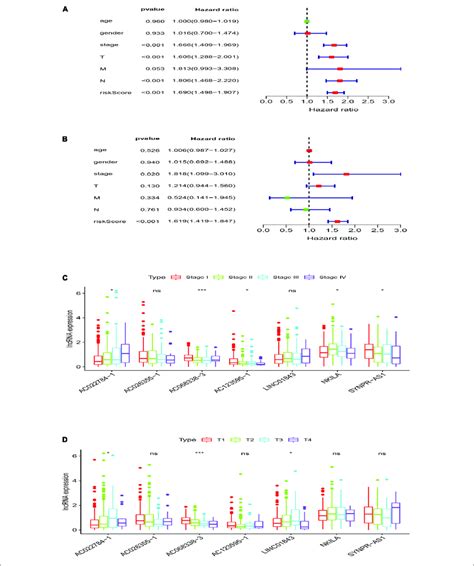 Stratification Analyses Of Clinicopathological Characteristics A