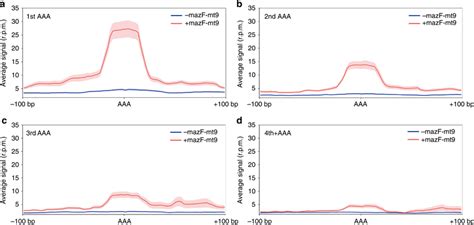 Ribo Seq Shows Ribosome Stalling Preference For Early Aaa Codons A D Download Scientific