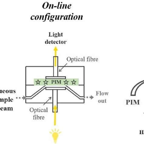 Polymer Inclusion Membrane Pim Based Sensor Configurations Off Line Download Scientific