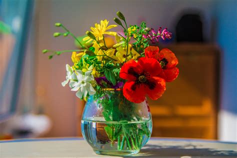 무료 이미지 식물 유리 봄 녹색 빨간 색깔 푸른 노랑 플로라 미술 플로리스트 리 소매 꽃다발 이케 바나 플로랄 디자인 중앙부 장식 꽃꽂이