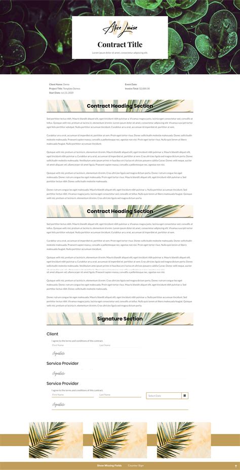 Canva Proposal Template