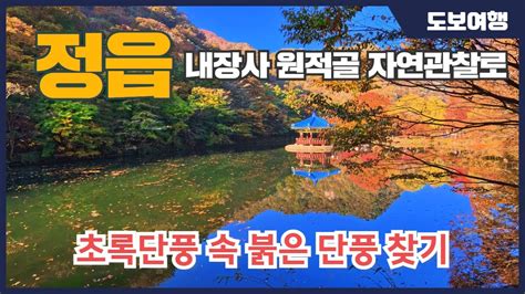 단풍 명소 정읍 내장산 내장사에서 초록단풍 속 숨은 붉은 단풍 찾기 Youtube