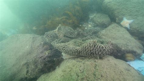 Train4 Object Detection Dataset By New Workspace Sspbb