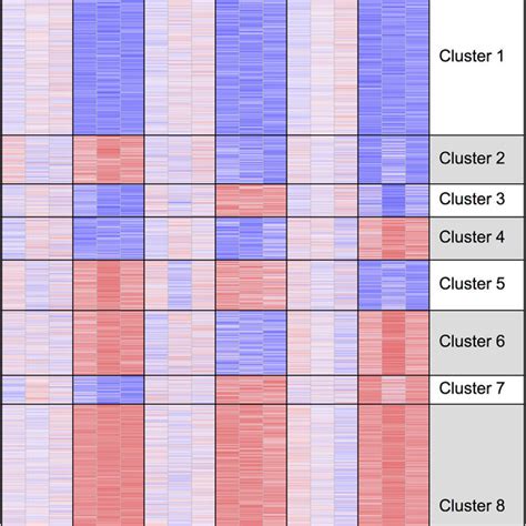 Clustering Of Genes By Gene Expression Cluster Analysis Was Applied
