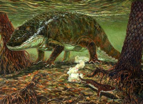 Carboniferous Amphibians