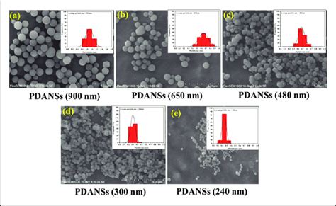 A E Scanning Electron Microscopy Images And Size Distribution Of Download Scientific