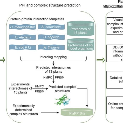 The Flowchart Of Database Construction Download Scientific Diagram