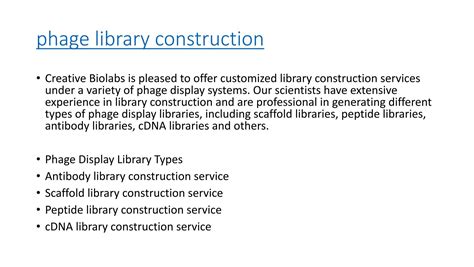 Phage Library Construction
