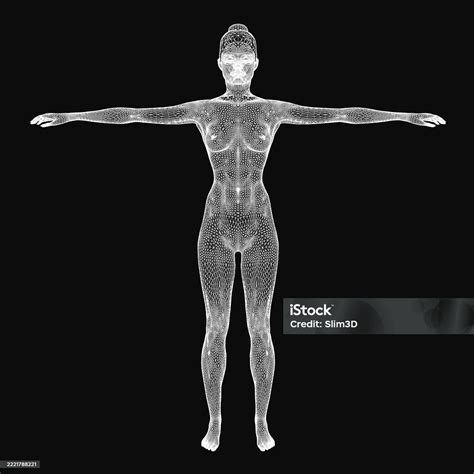 팔을 뻗은 와이어프레임 여성은 검은색 배경에 인체 해부학의 상세한 3d 모델을 보여줍니다 골격 구조와 근육 조직이 명확하게 보이며 강조됩니다 Slide Show