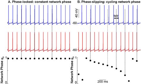 Schematic Illustration Of Phase Locking And Slipping Motifs In