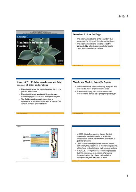 PDF Membrane Structure And Function Permeabilityrelyonbiology Weebly Com Uploads 3 8 2 8