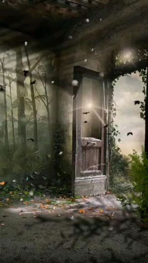 Twilight Mycrimsonmoon Twilight Forest