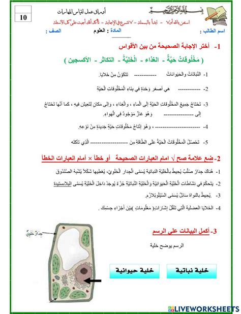 علوم رابع 1 Online Exercise For Live Worksheets