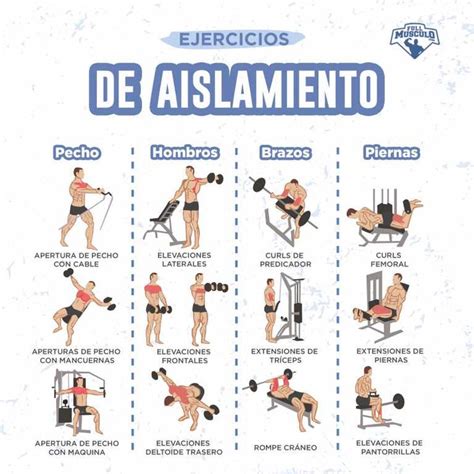 Ejercicios De Aislamiento Vs Ejercicios Multiarticulares • Fullmusculo
