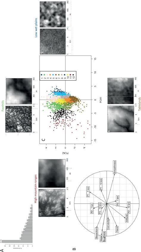 Results Of The G Pca Integrating Textural And Morphometric Criteria