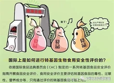 转基因食品安全知识一 农视网 2024 01 28 11 45 北京 我国市场上常见的转基因食品有哪些我国市面上销售的水稻种子和大米是转