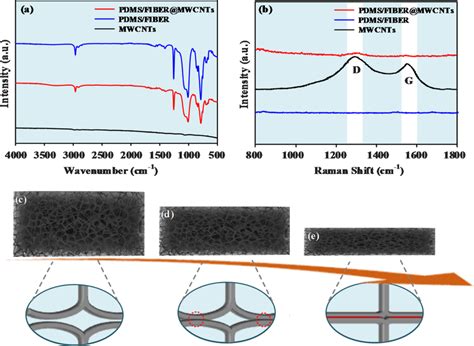 Pdms Raman Spectrum