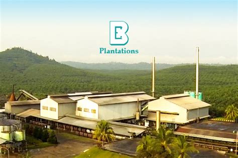 Boustead Plantations Ceo荣休 Azlan Jaafar任临时ceo