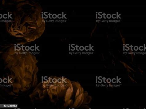 검은 색 배경과 금색 꽃 프레임과 갈색 잎 질감 어두운 배경 오렌지와 금 사랑 배너 갈색과 노란색 배경에 아름다운 추상색 노란색 꽃 0명에 대한 스톡 사진 및 기타 이미지